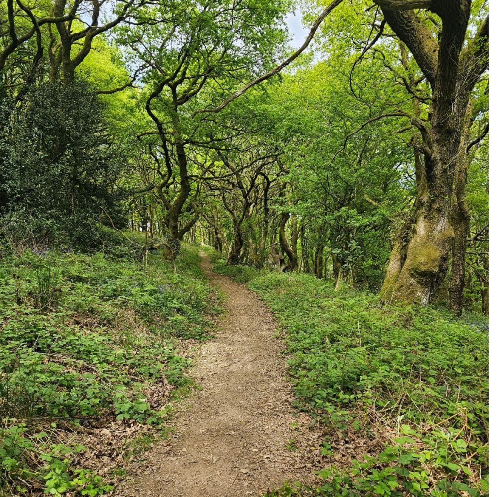 4 Stunning Day Hikes Near Cardiff Without a Car (Public Transport Guide)